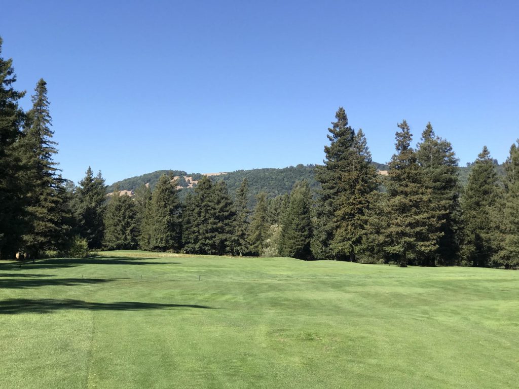 Foxtail Golf Club: How many steps? - rickyleepotts